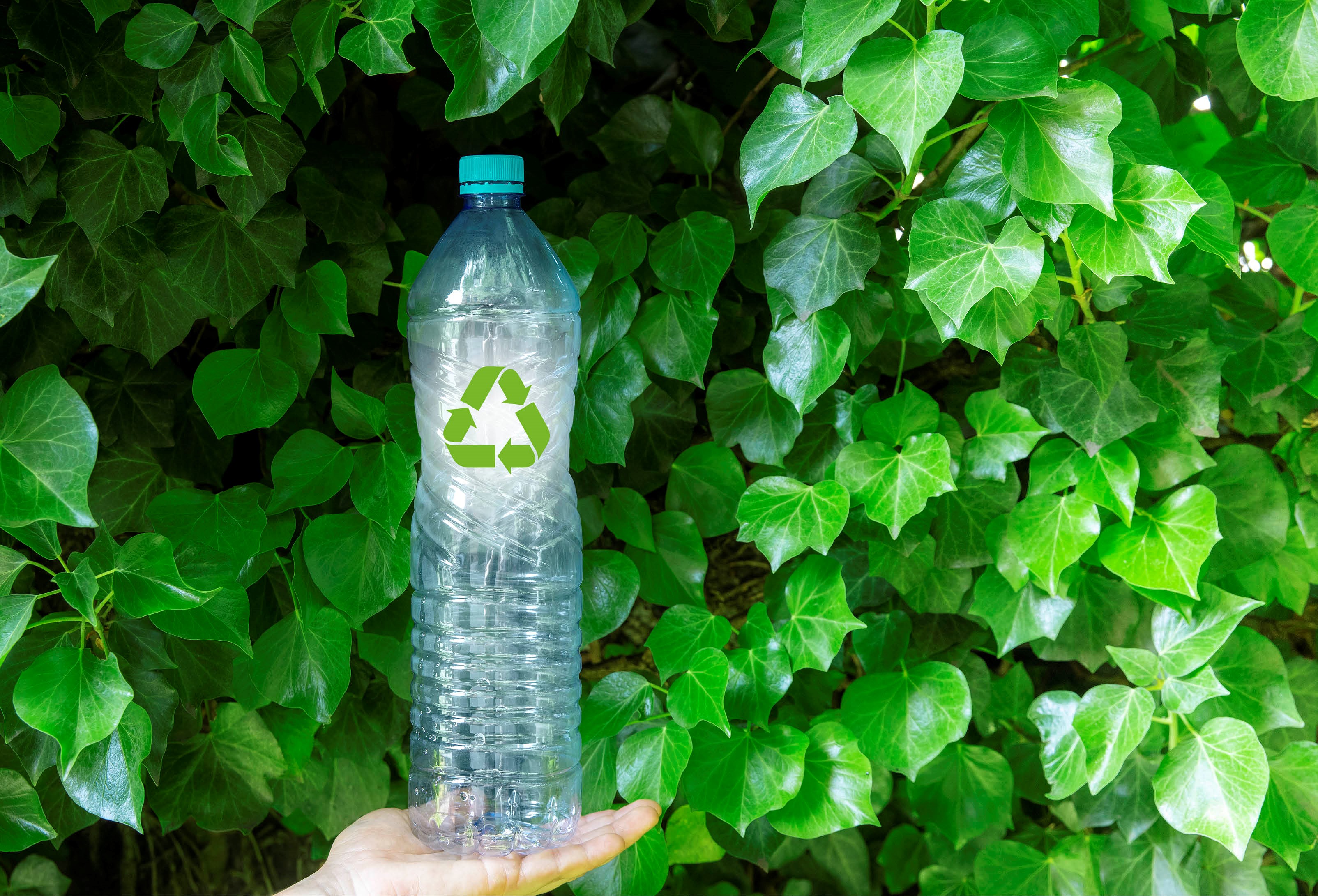 Plastic Free: la sfida di una nuova industria delle plastiche